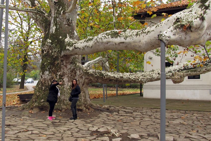 belgrade-private-city-tour-topcider - Serbian Private Tours